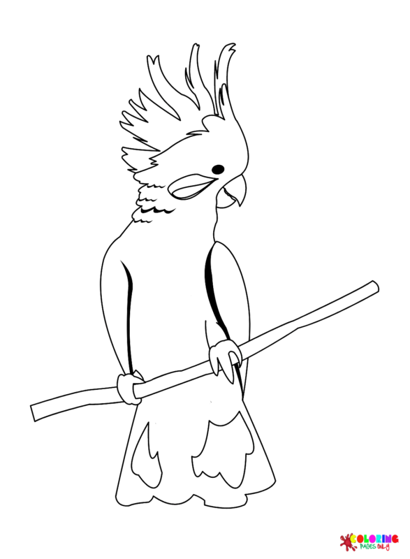 Cockatoo Coloring Pages Printable For Free Download